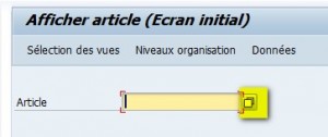 match code SAP : trucs et astuces - SAP and co