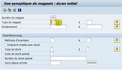 match code SAP : trucs et astuces - SAP and co