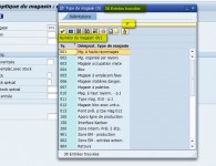 match code SAP : trucs et astuces - SAP and co