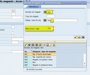 match code SAP : trucs et astuces - SAP and co
