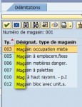 match code SAP : trucs et astuces - SAP and co