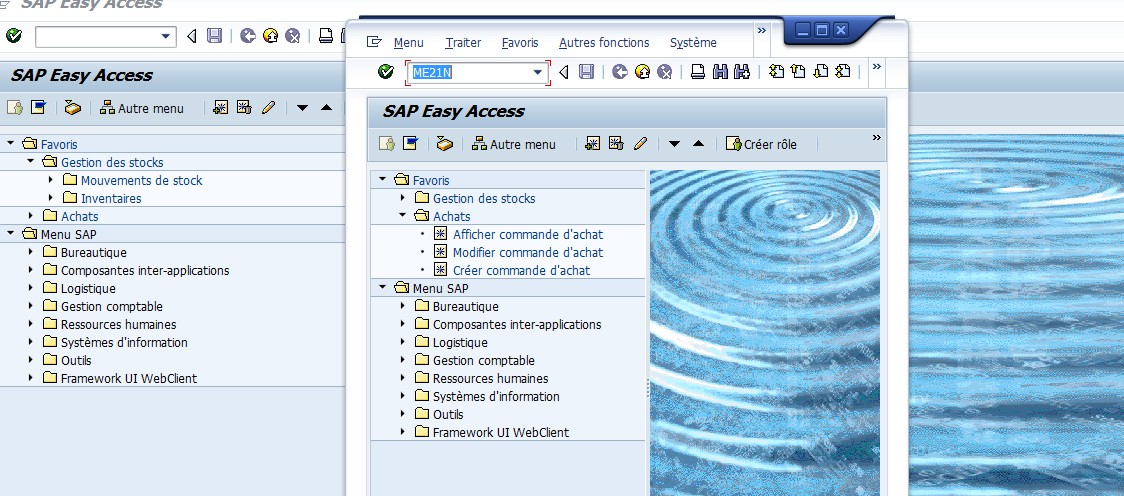 Comment naviguer dans SAP ? - SAP and co