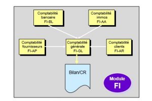 Définition SAP : Module FI (Finance) - SAP and co