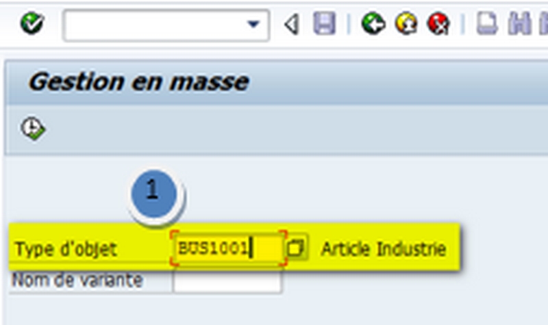 Comment modifier en masse les articles dans SAP ? - SAP and co