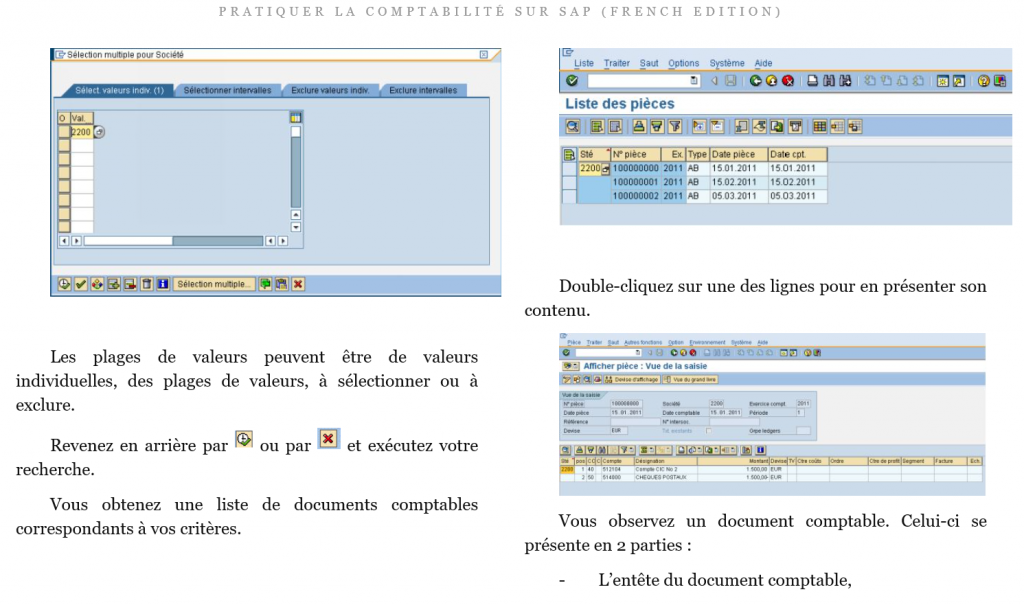 Pratiquer la comptabilité sur SAP - SAP and co
