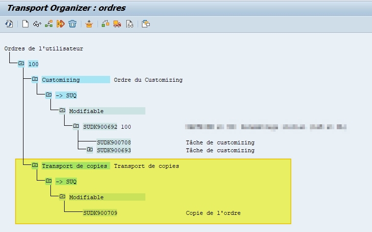 Utilisation des ordres de transport de copies | SAPandCO